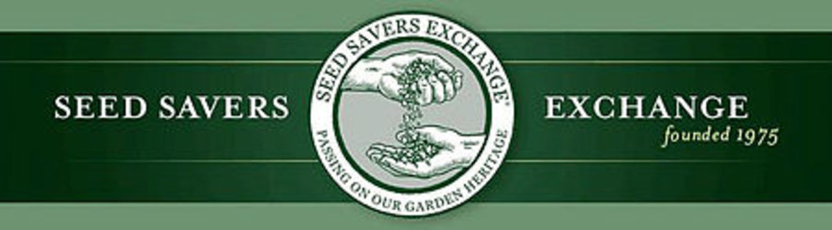 Saving and Storing Seeds From Your Garden - HubPages