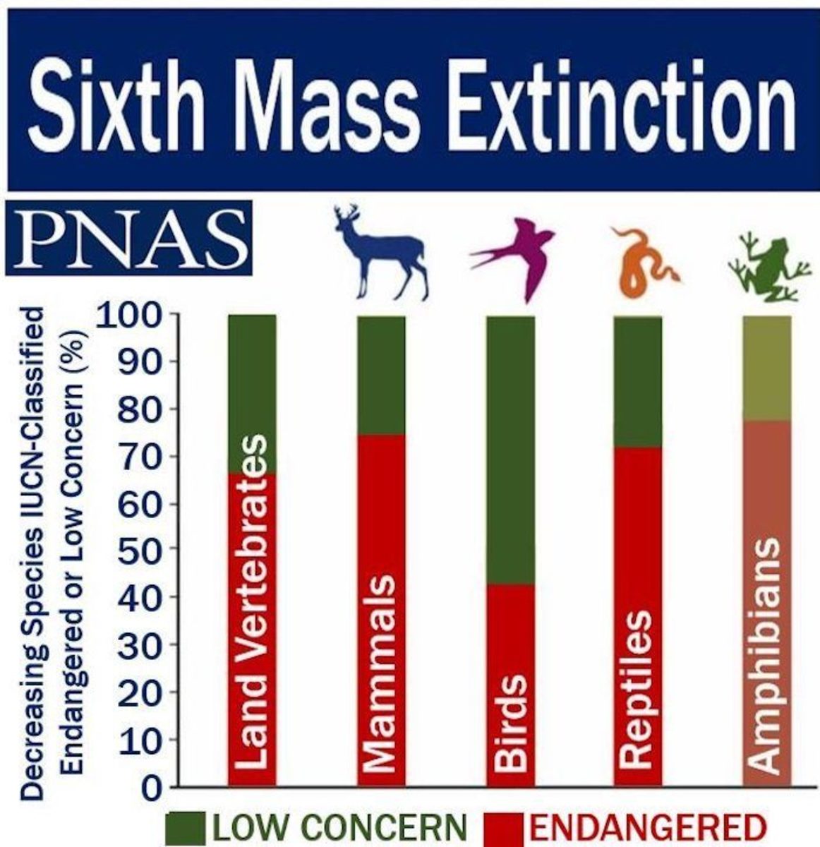 What Have We Done? Created The 6th Extinction? - HubPages