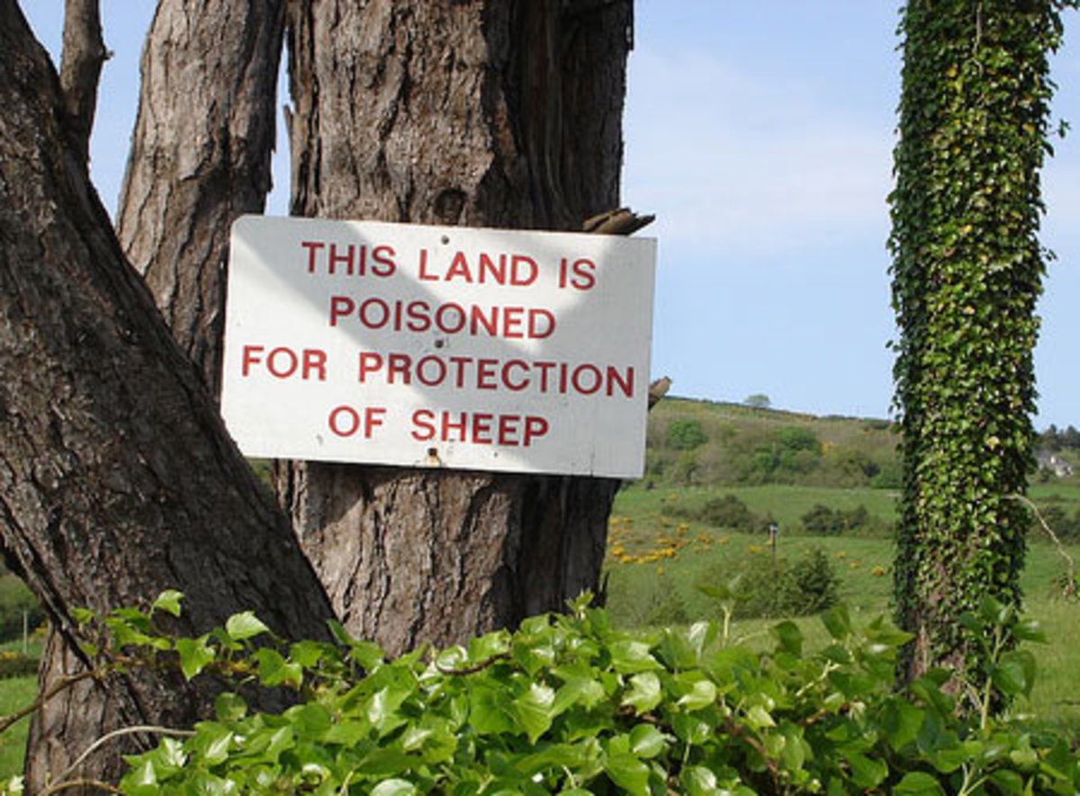 Funny Pictures: Absurd Signs 4 - HubPages