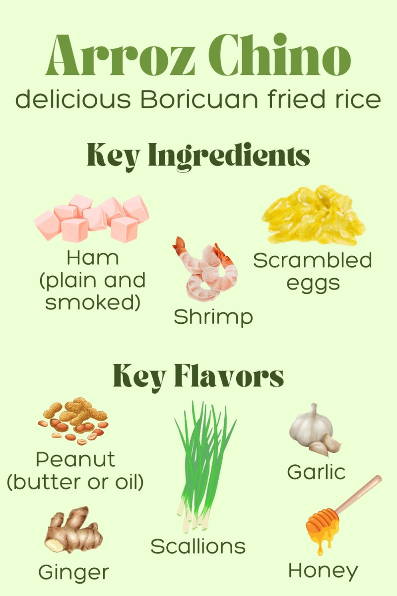 Arroz Chino Boricua (Puerto Rican Fried Rice) Recipe - HubPages