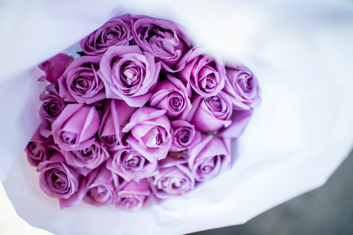 What Do Purple Roses Mean? Plus Exciting Ways to Give Them - HubPages