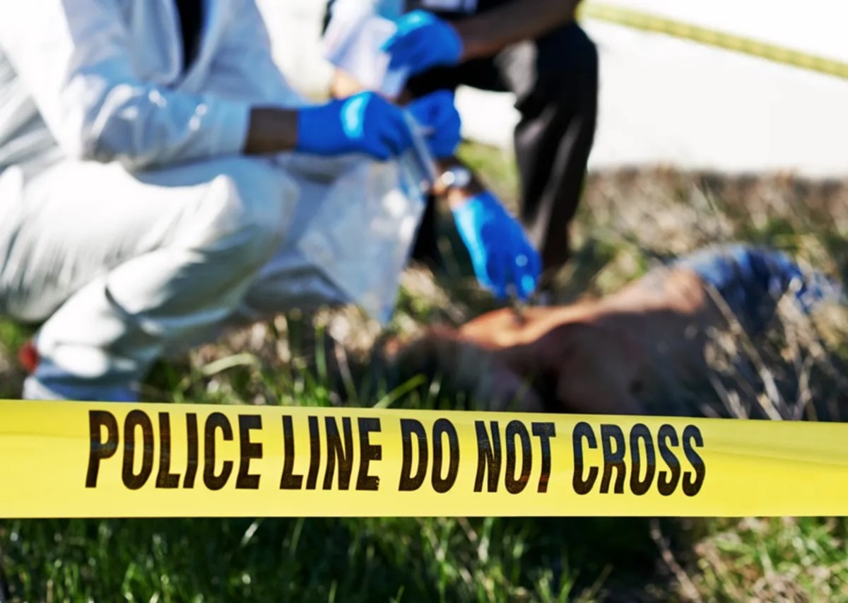 Necroscience Brings Closure to the Families of Victims - HubPages