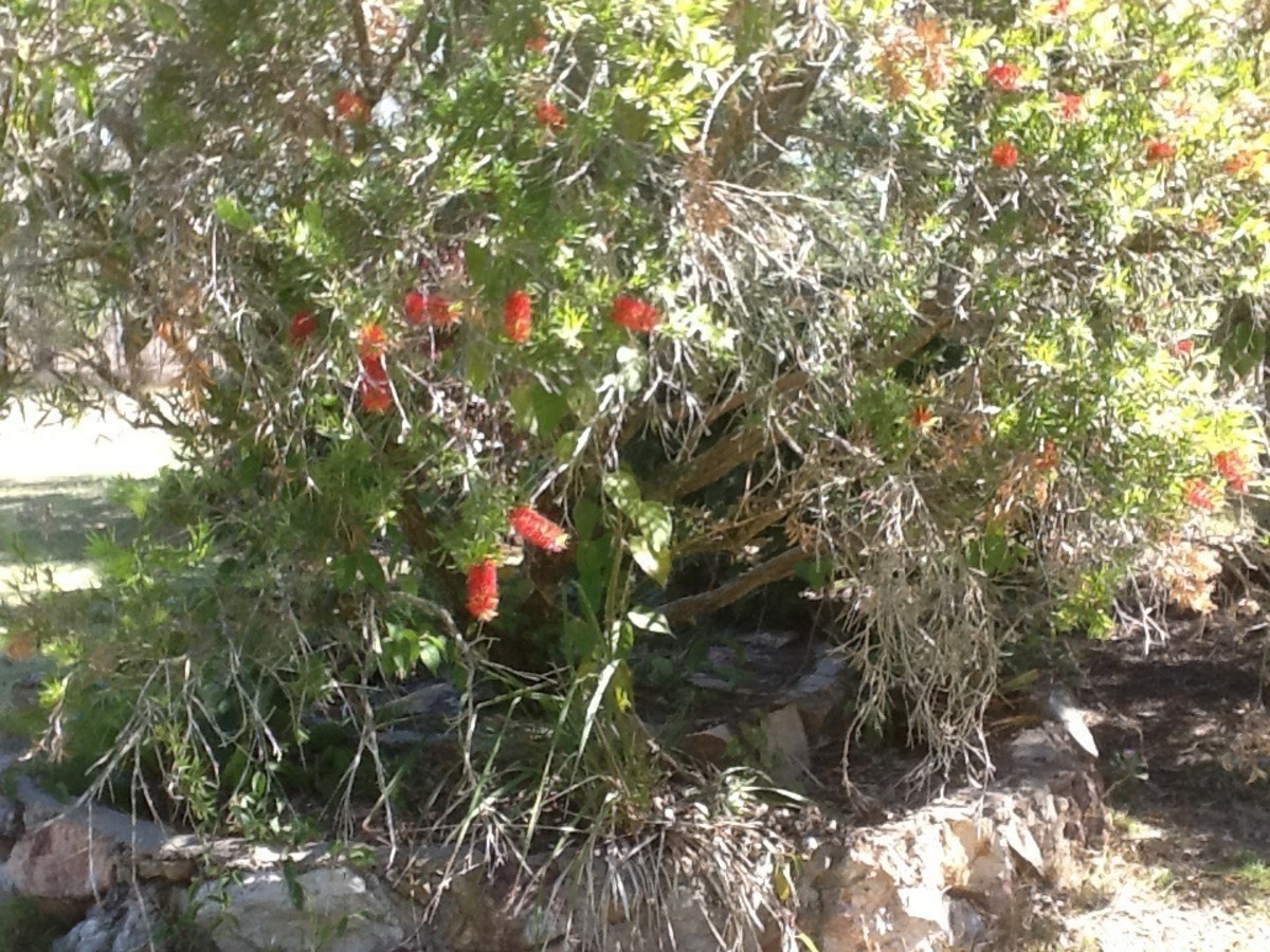 Diary of a Cackleberry Farmer (September Edition) - HubPages