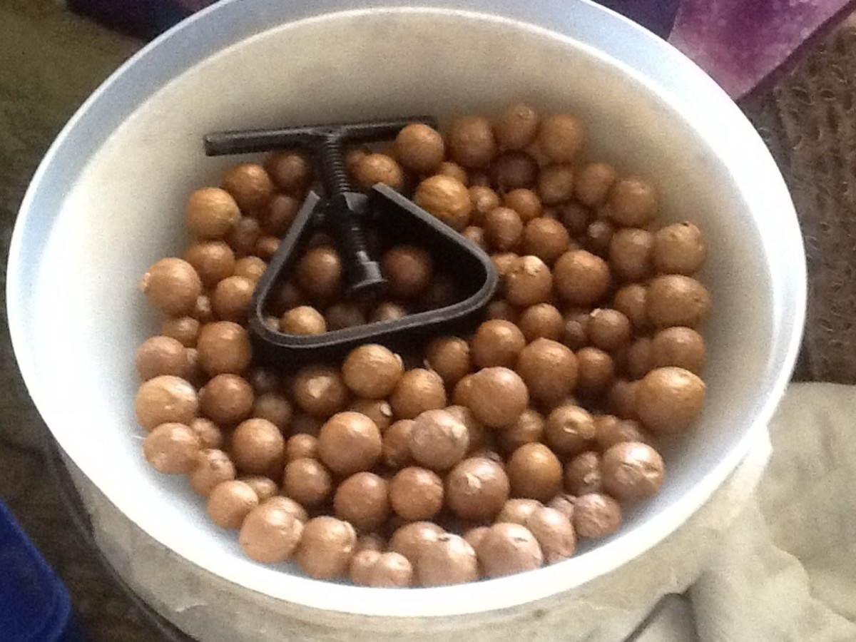 Diary of a Cackleberry Farmer (September Edition) - HubPages