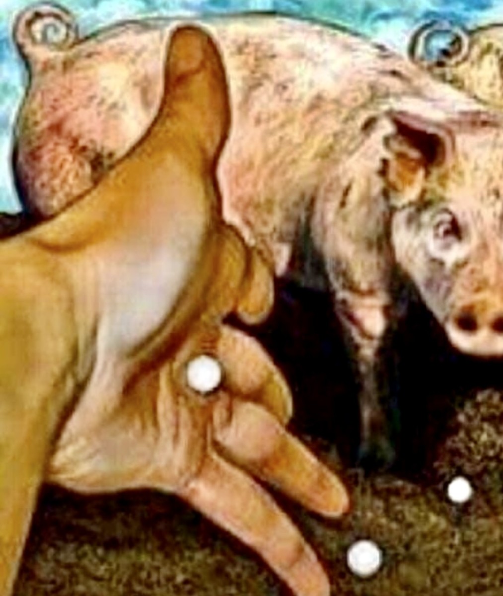 Pearls Before Swine and the Ever-Narrowing Narrow Gate - HubPages Pearls Before Swine and the Ever-Narrowing Narrow Gate - HubPages
