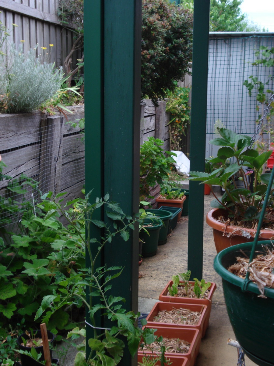 A Small Unit Garden: some ideas - HubPages