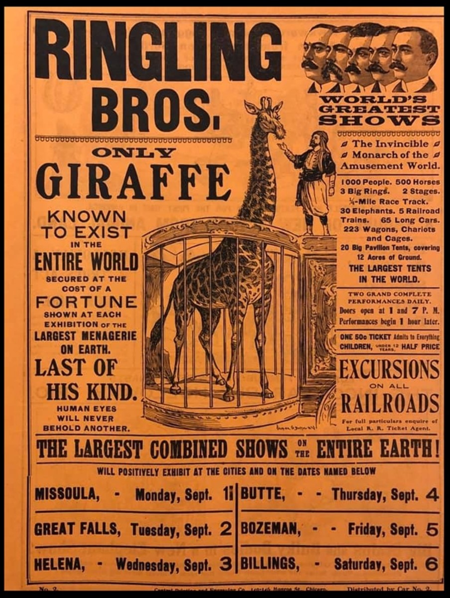 Ringling Brothers Circus: The Path to Success - HubPages
