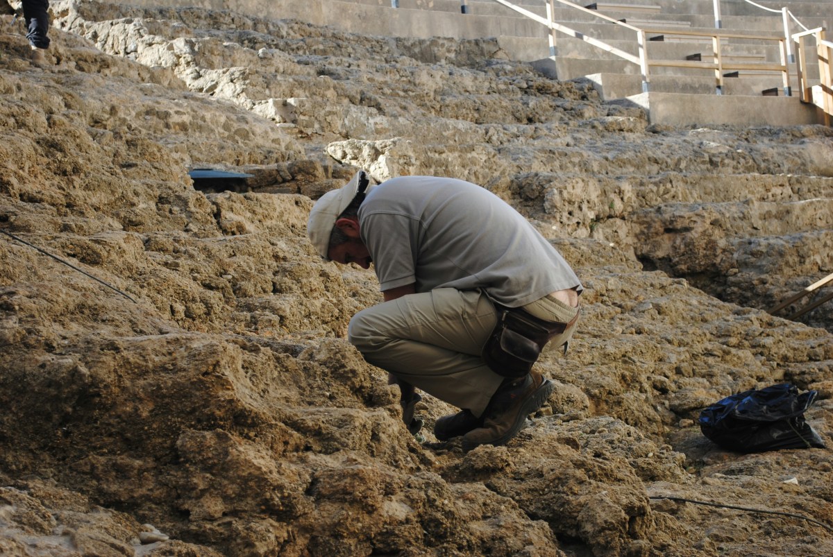 Fields of anthropology - HubPages