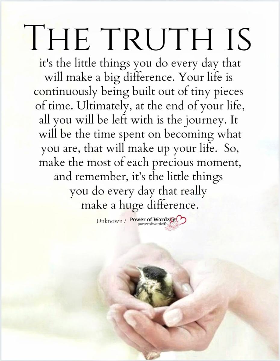 Truth the Journey Through the Soul (Clearing the Path) Intellectual ...