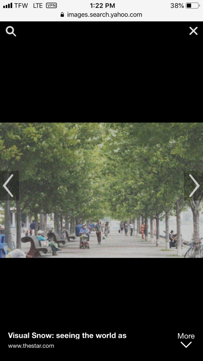 My Realization That I Have Visual Snow Symptoms and It’s Effects on My ...