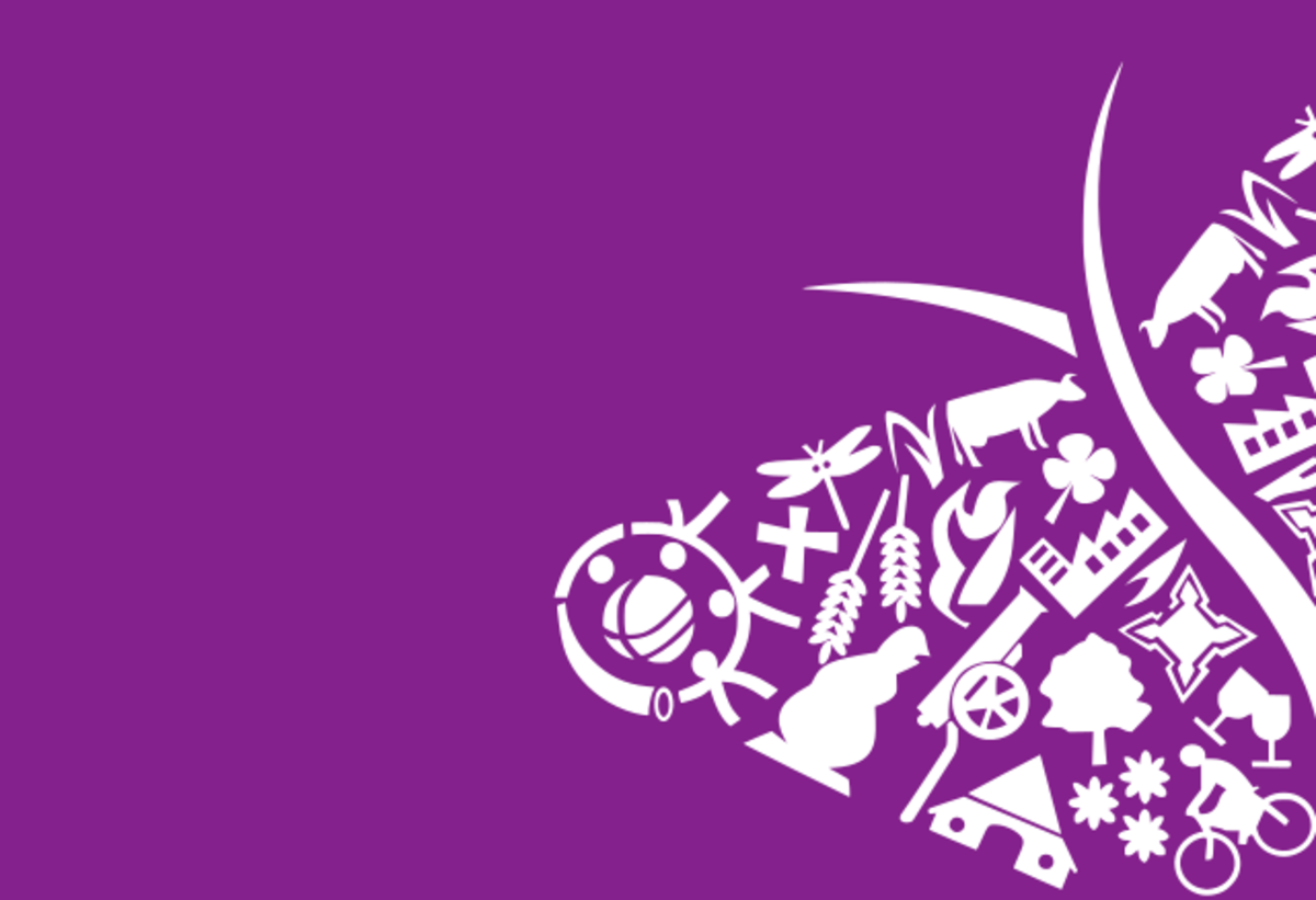 Flags That Have Purple Elements Around the World - HubPages