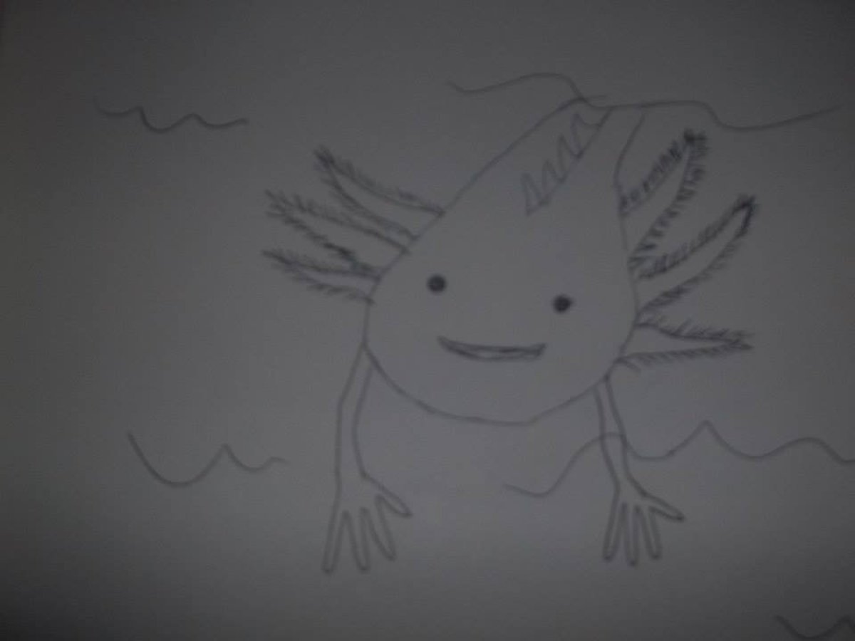 The Mexican Walking Fish - HubPages