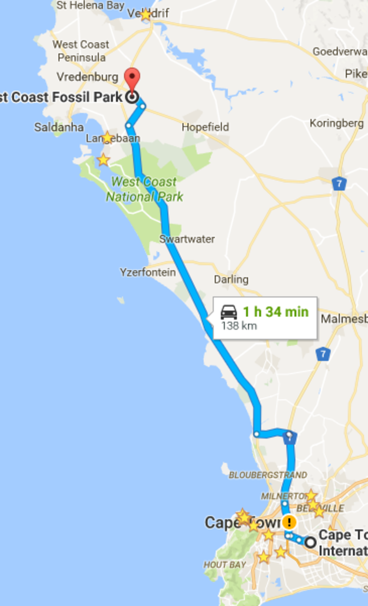 South Africa West Coast Map Visit The West Coast Fossil Park South