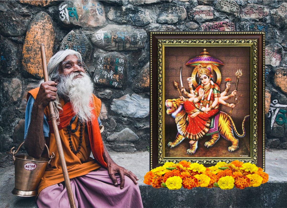 7 Most Sacred Animals In India And Their Religious Significance In ...