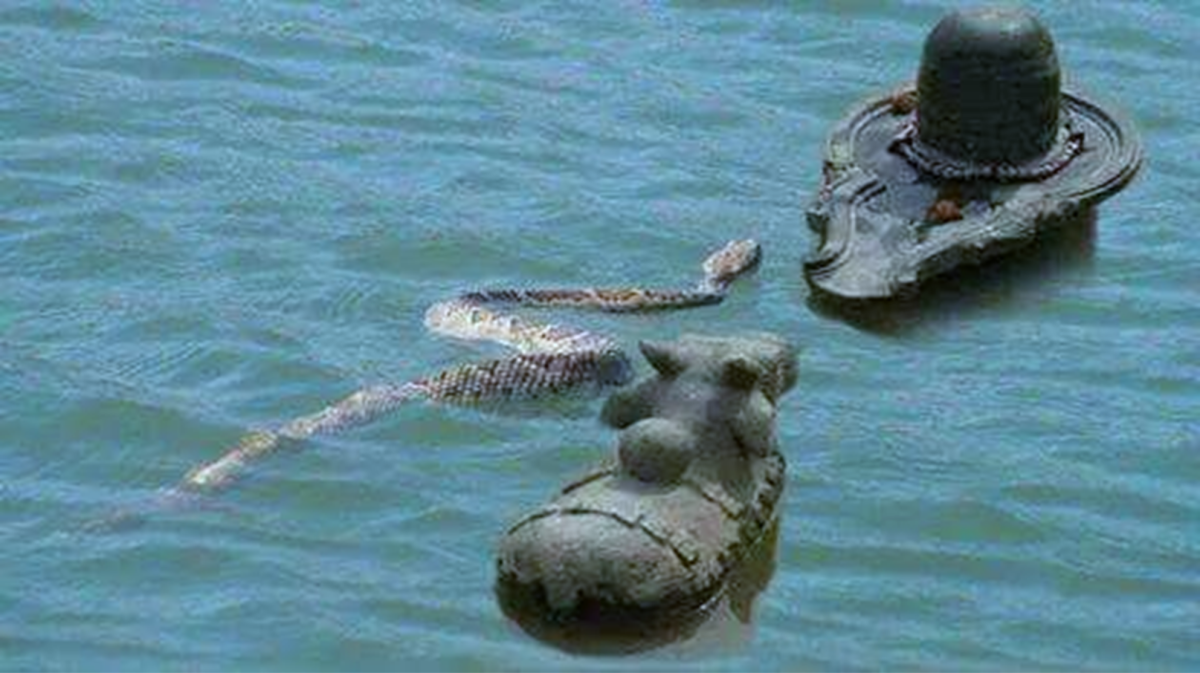 7 Most Sacred Animals In India And Their Religious Significance In ...