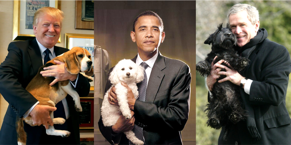 United States Presidential Dog Names - HubPages