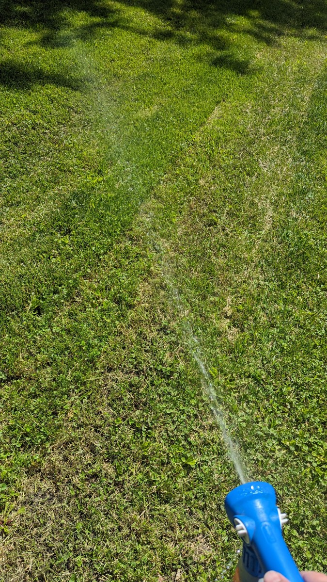 Cutter - Backyard Bug Control - HubPages