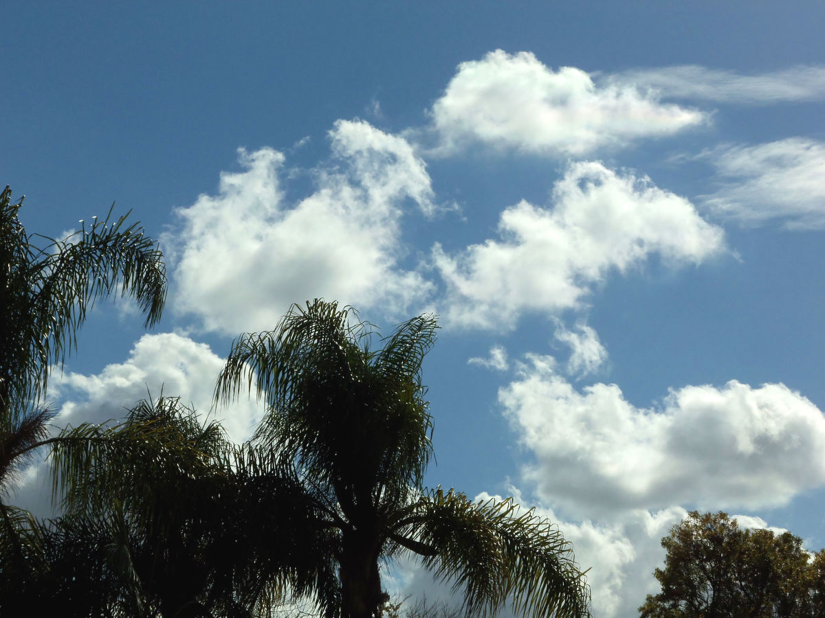 How to Download and Use Kodak "EasyShare" Camera Software - HubPages