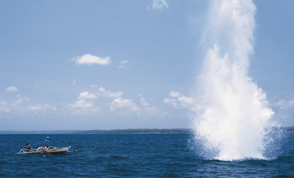 Dynamite vs Cyanide Fishing: What's the Difference? - HubPages