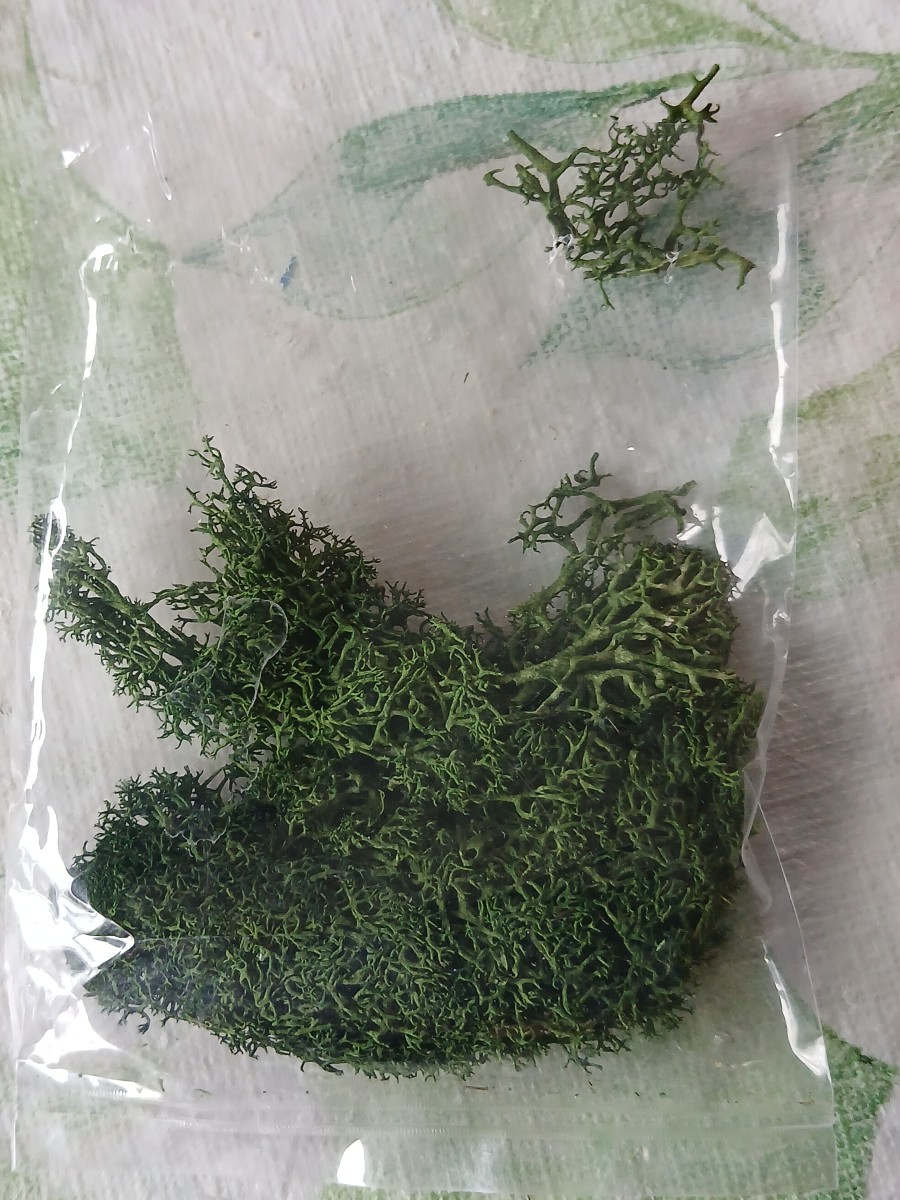 Werewolf In a Bottle - HubPages