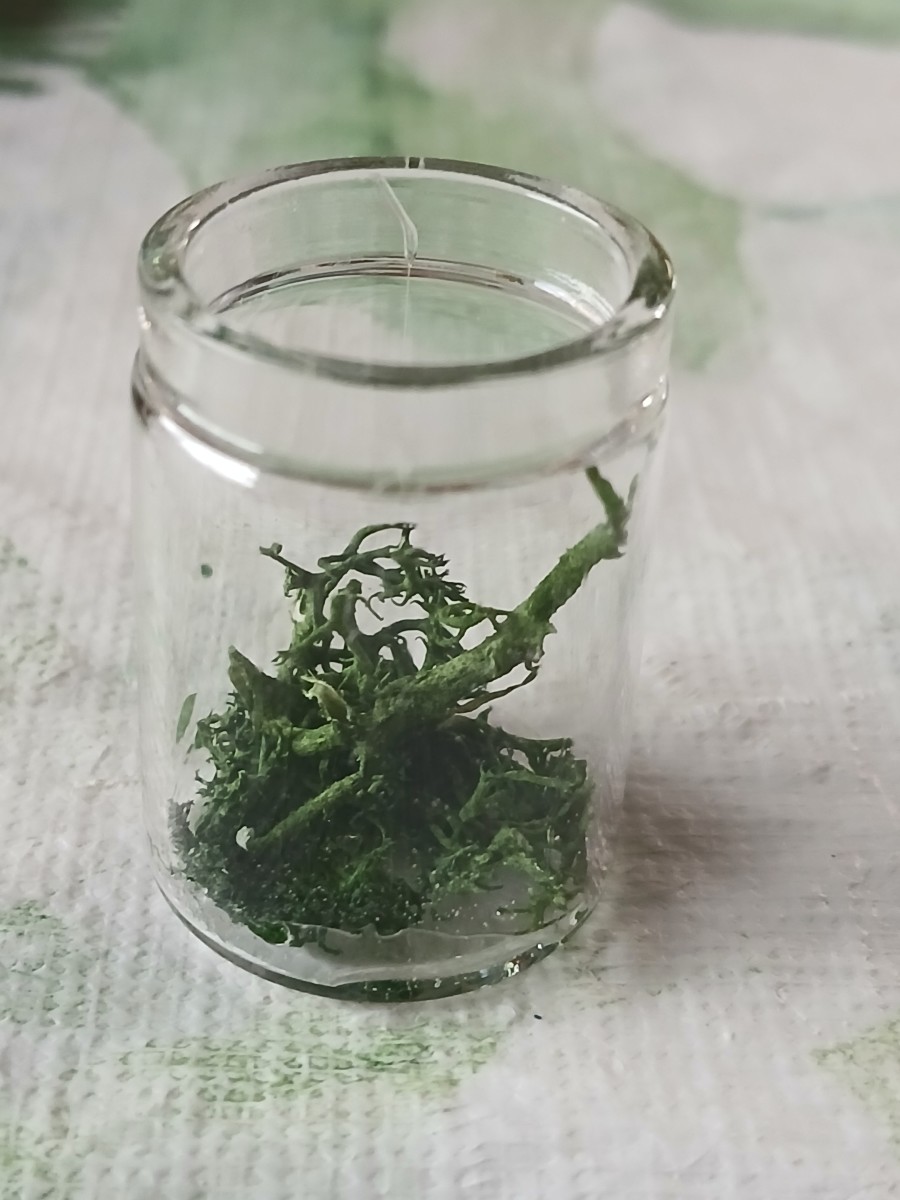 Werewolf In a Bottle - HubPages