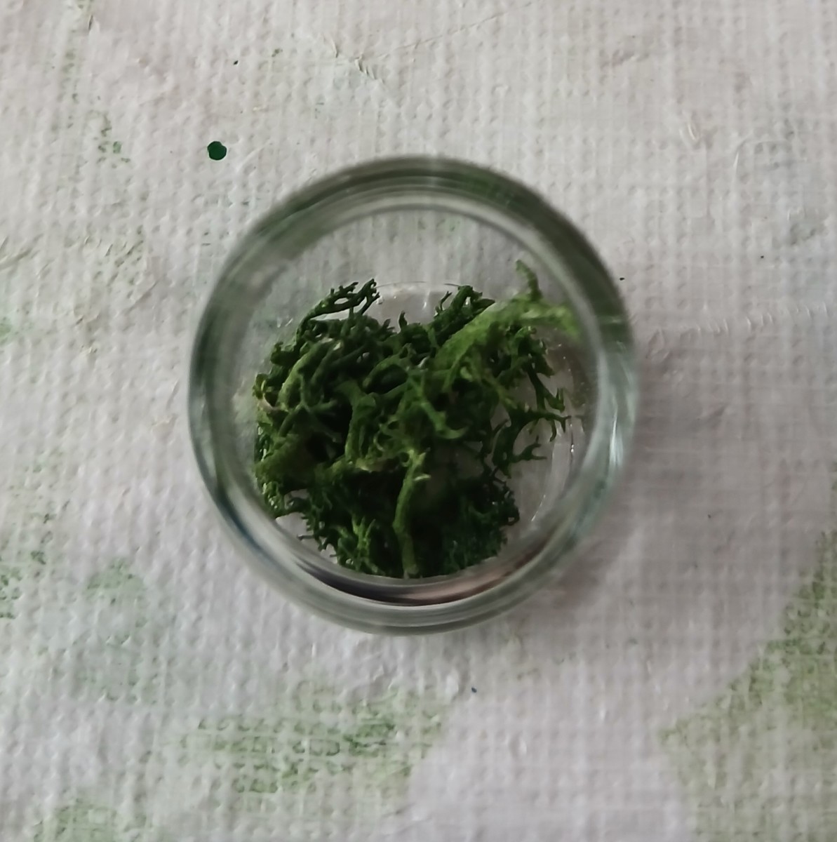 Werewolf In a Bottle - HubPages