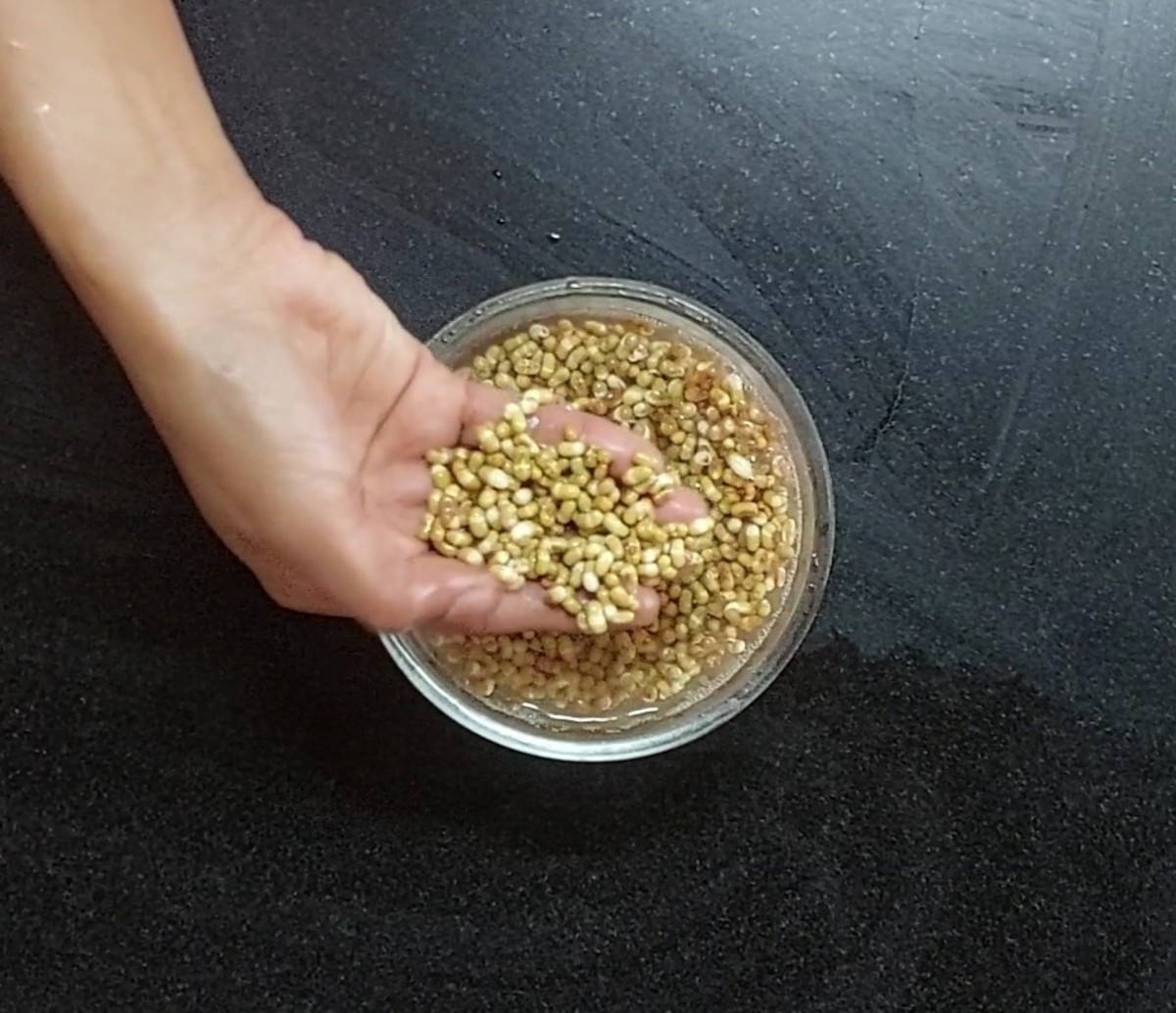 Mushroom Moth Bean Curry - HubPages