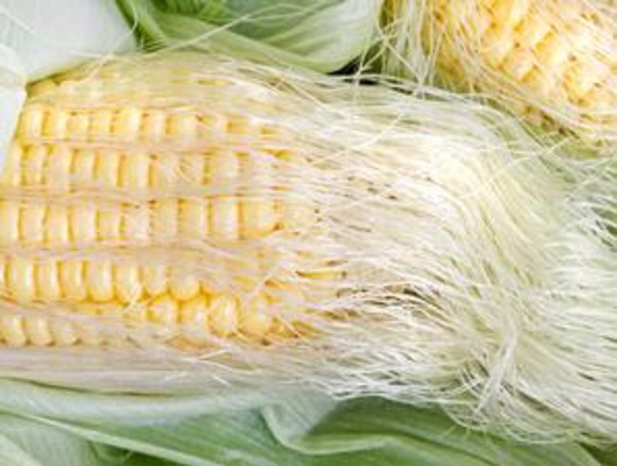 Delicious Mexican Grilled Street Corn Recipe (Elotes) - A Flavorful ...