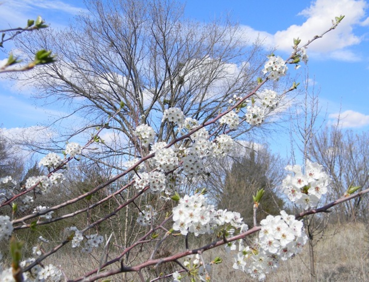 Passings: Life Keeps Happening Anyway - HubPages