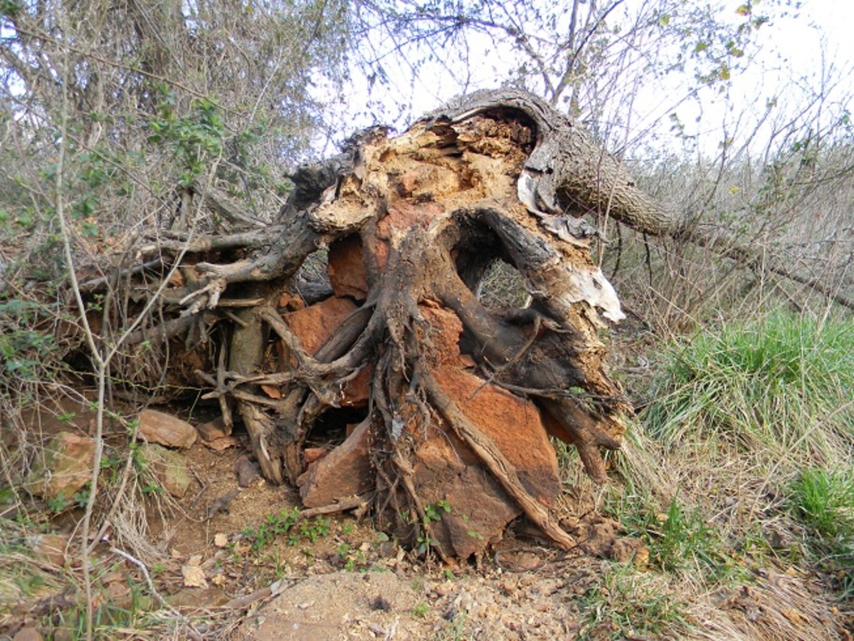 Passings: Life Keeps Happening Anyway - HubPages