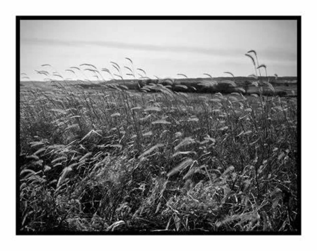 The Black Hawk War: The Fall of Black Hawk, Illinois, A History - HubPages