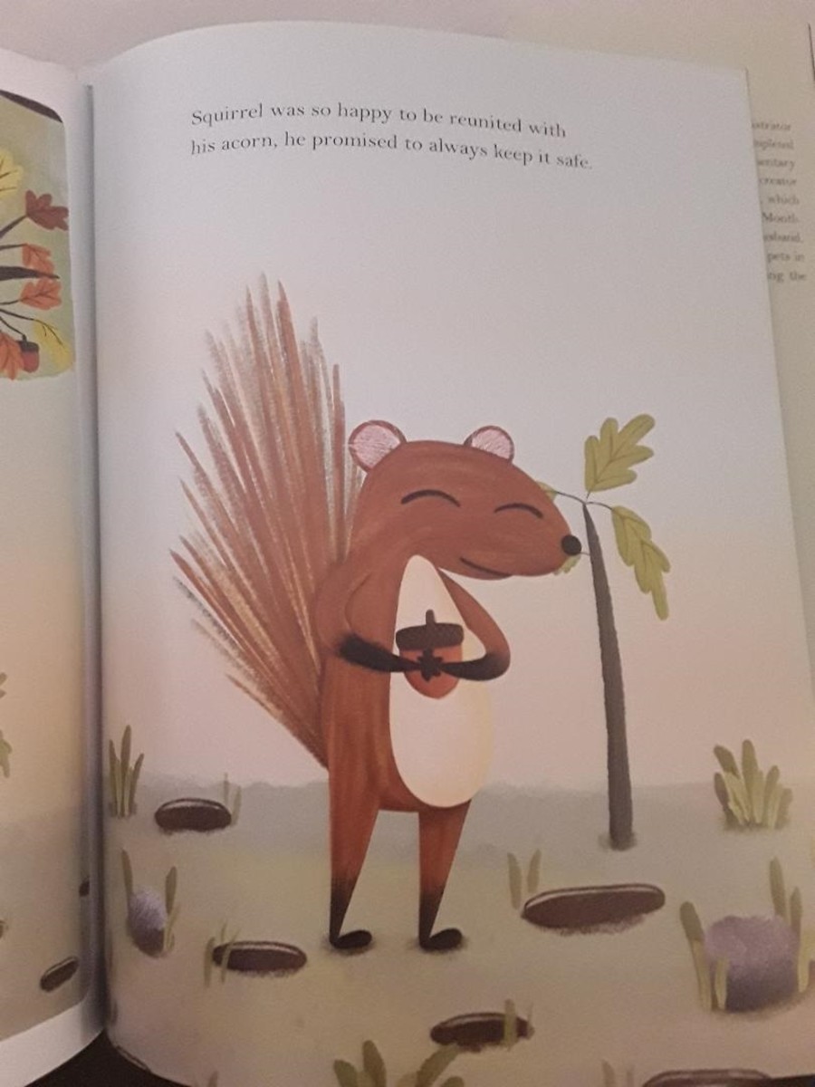 Where is Squirrel's Acorn? Squirrel Learns What an Acorn Becomes in ...