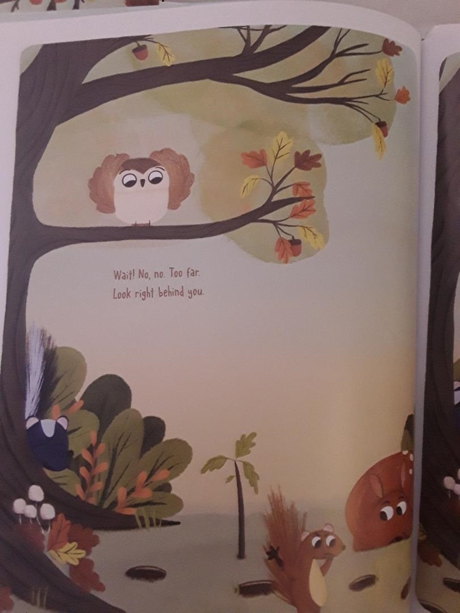 Where is Squirrel's Acorn? Squirrel Learns What an Acorn Becomes in ...