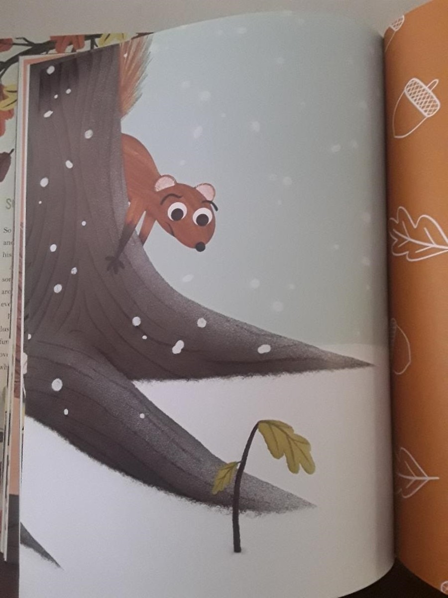 Where is Squirrel's Acorn? Squirrel Learns What an Acorn Becomes in ...