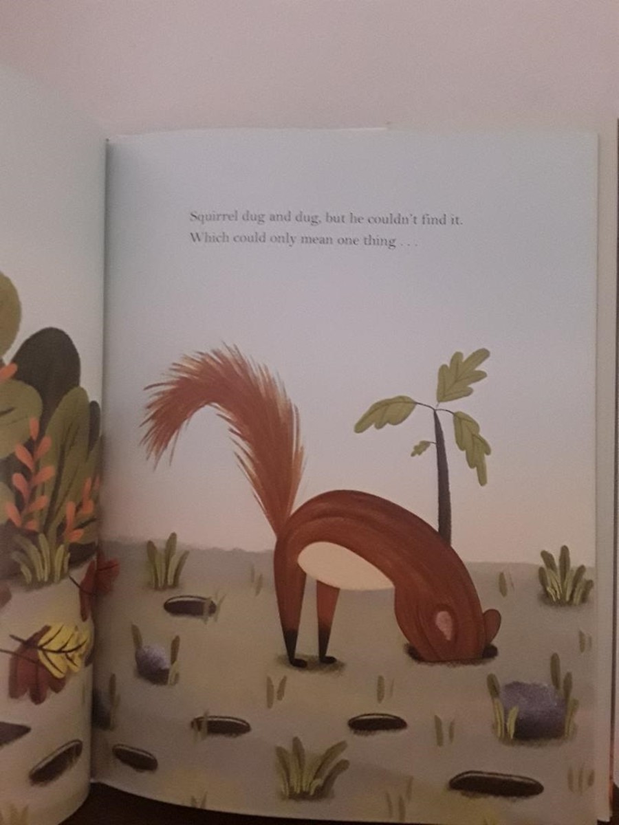 Where is Squirrel's Acorn? Squirrel Learns What an Acorn Becomes in ...