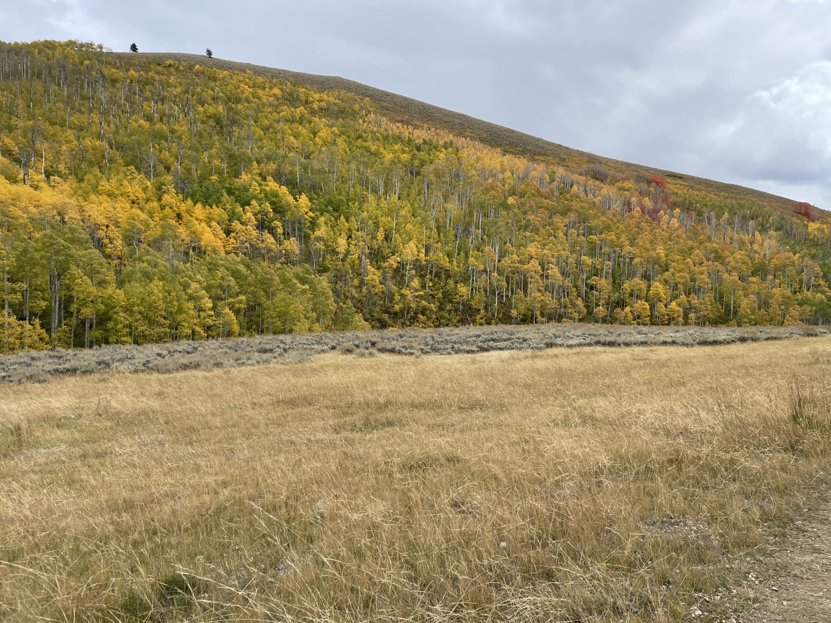 Top Spots for Utah's Fall Colors - HubPages