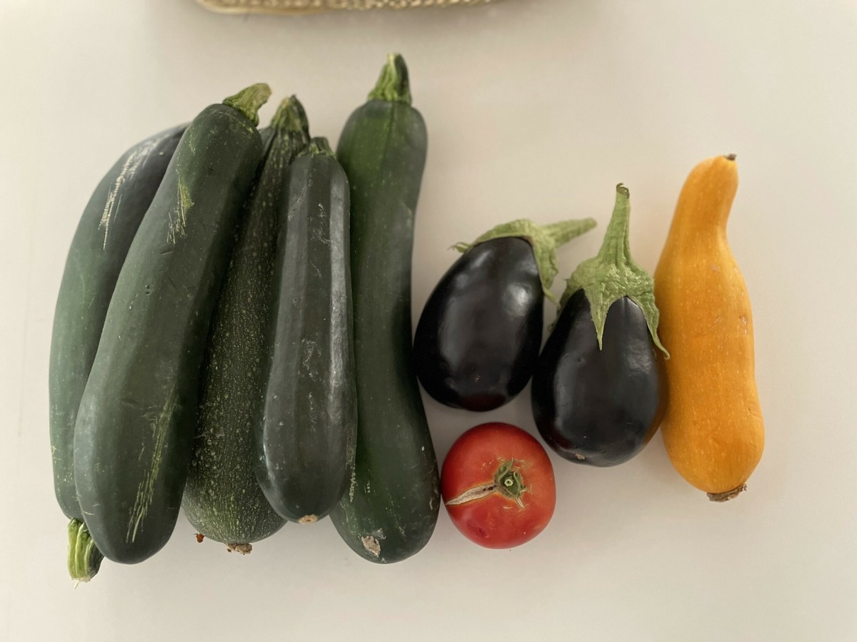 September is National Organic Harvest Month - HubPages