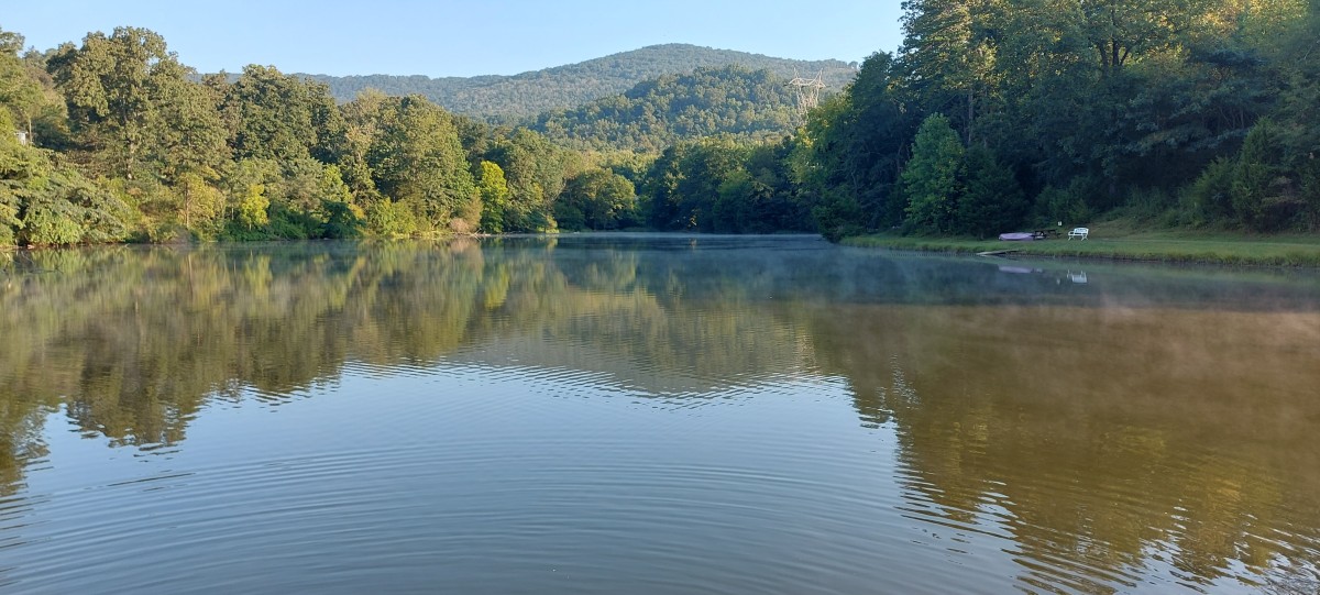 Wildwood: A Display of God's Health Benefits - HubPages