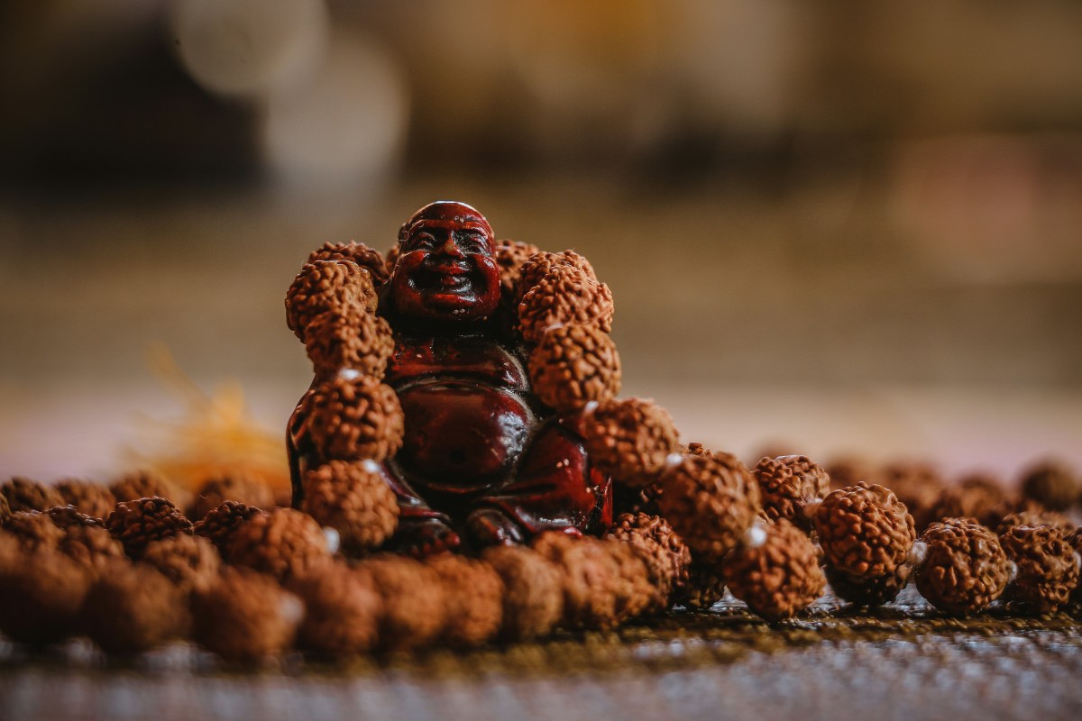 The Spiritual Significance and Modern Science of Rudraksha - HubPages