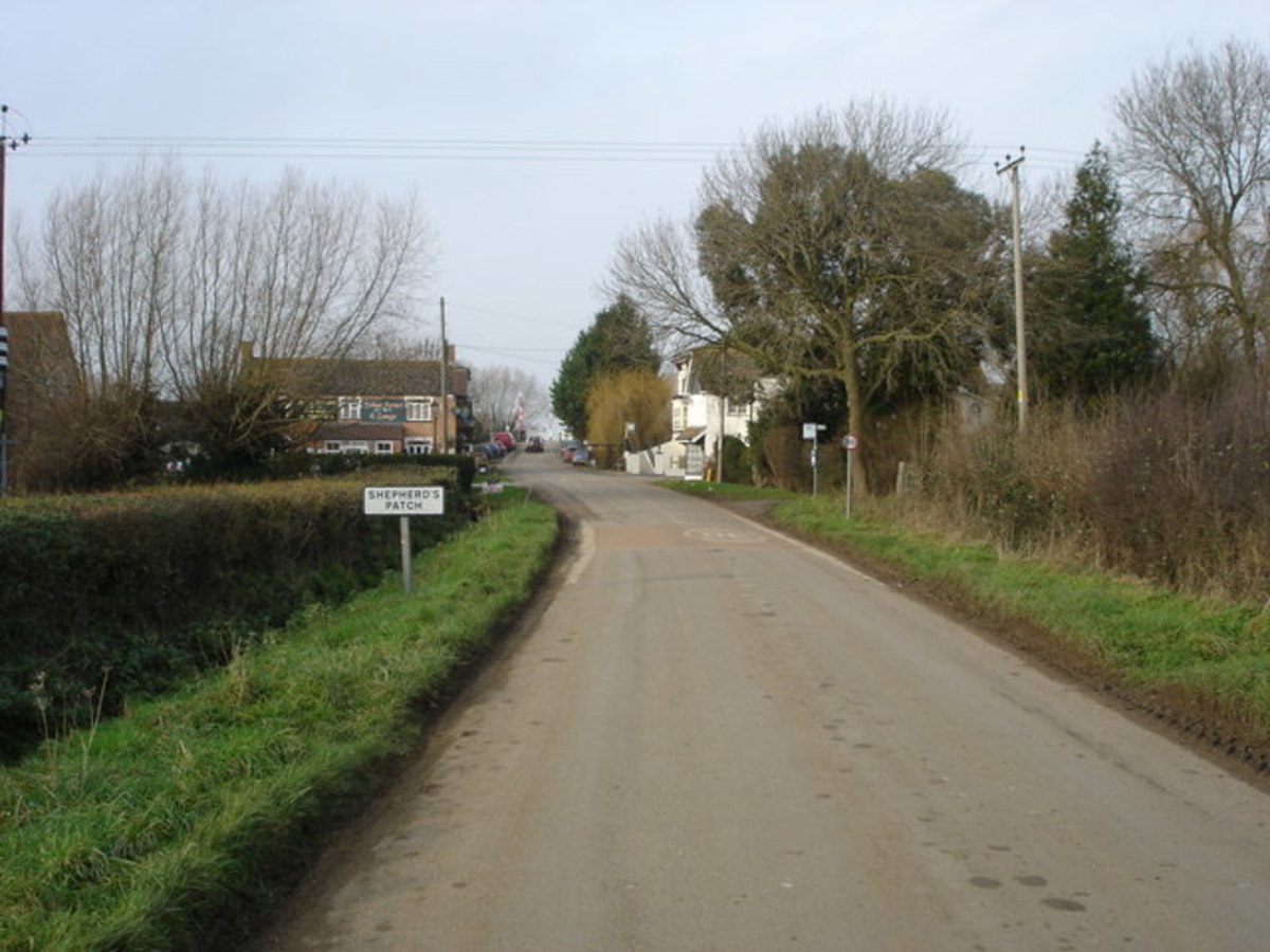 Slimbridge Wetland Centre: A Visitors Guide - HubPages