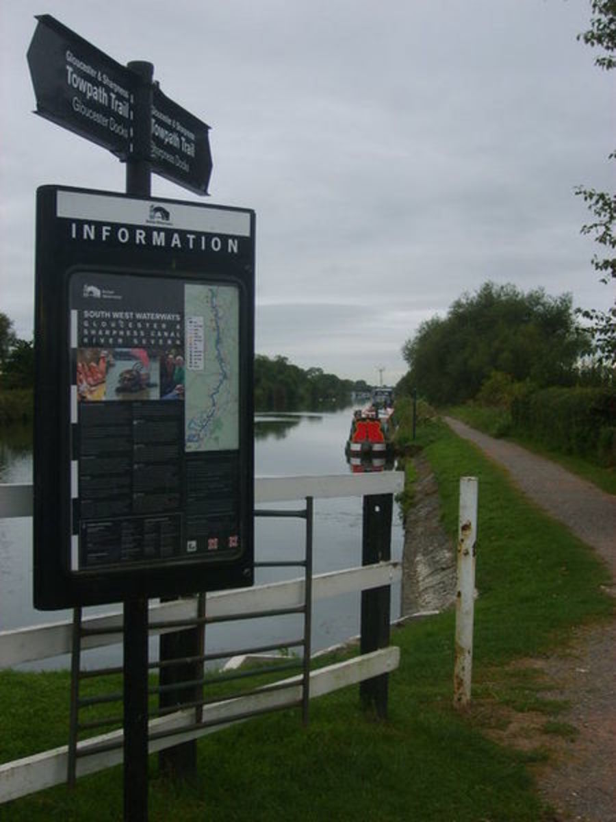 Slimbridge Wetland Centre: A Visitors Guide - HubPages