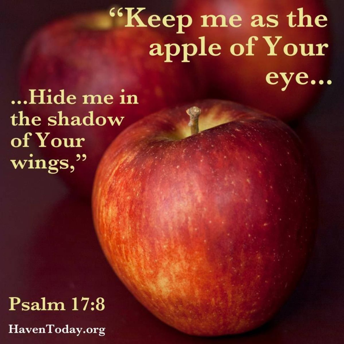 Points to Ponder: The Apple of God’s Eye! - HubPages
