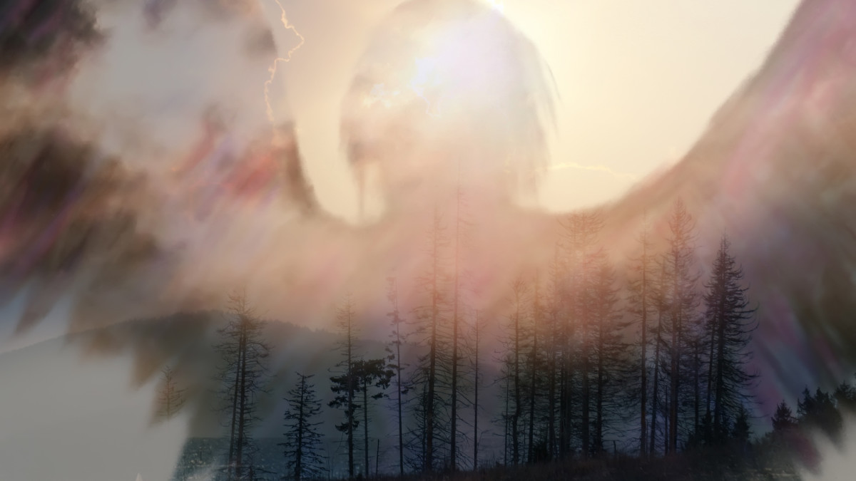 People Can’t Decide if They Spotted a UFO or Seraphim Angel in Mexico ...