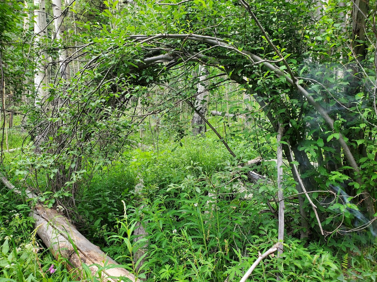 Woman and Partner Stumble Upon ‘Obvious’ Fae Trap - HubPages