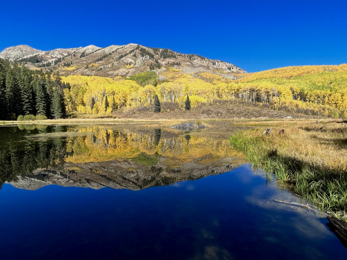 11 Easy Walks and Hikes to See Fall Colors in Colorado - HubPages