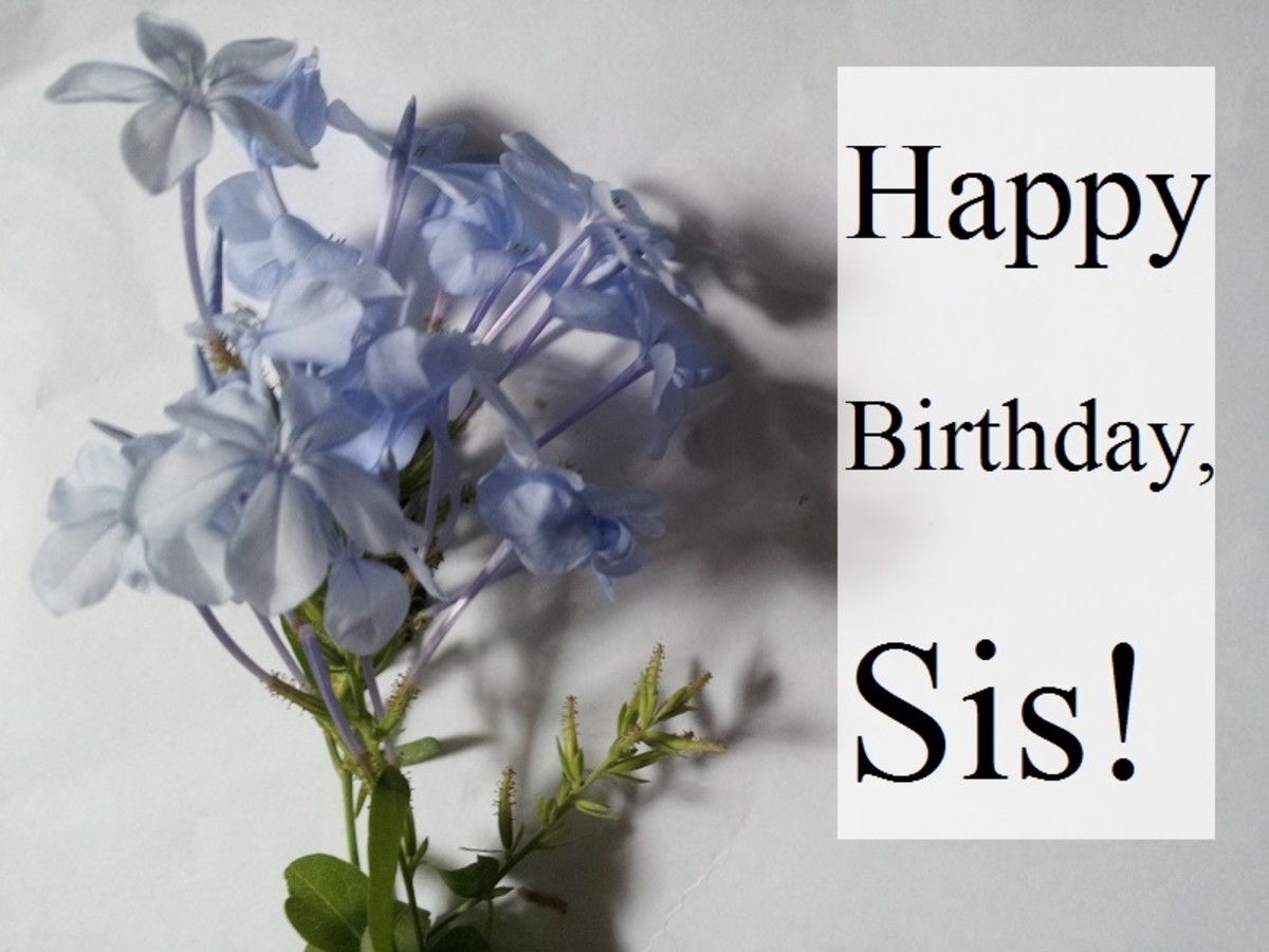 Happy Birthday Wishes for a Sister Who Is Far Away - HubPages