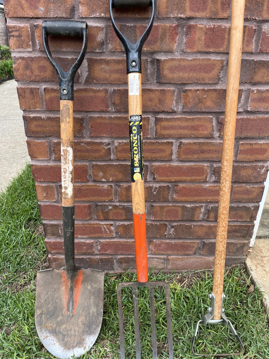 Weather’s Bad – What’s a Gardener To Do? - HubPages