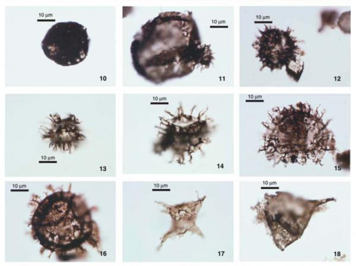 Precambrian Paradise - HubPages