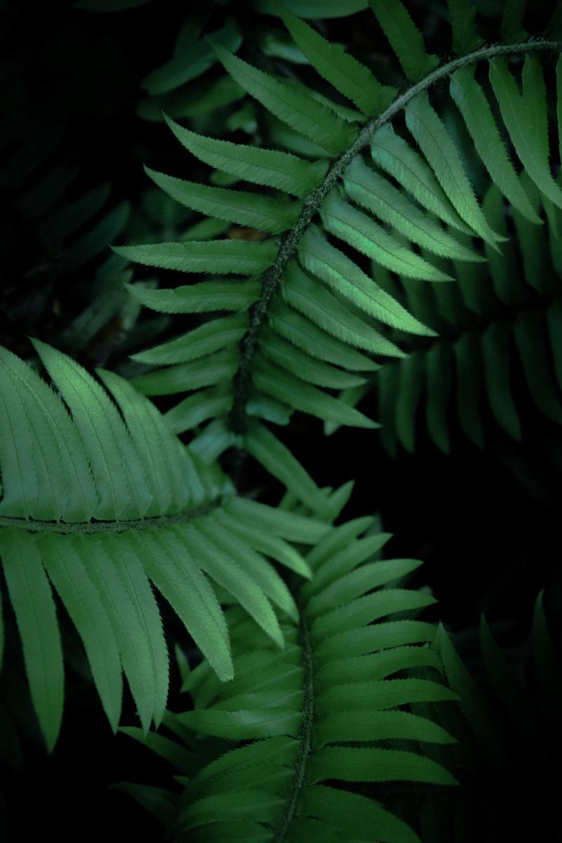 Composition From A Professional Photographers Eye (How To Frame The ...