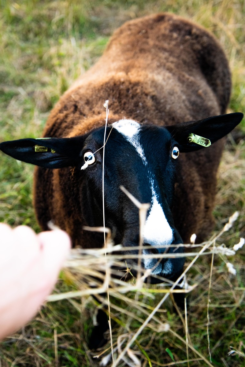 Composition From A Professional Photographers Eye (How To Frame The ...